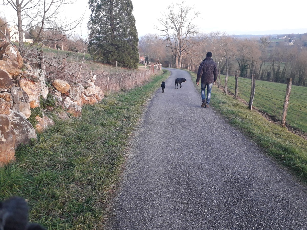 Ici ou là bas – CécileValentine